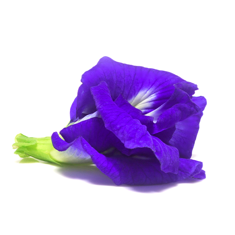 Butterfly Blue Pea Flower | Apothecary Foods