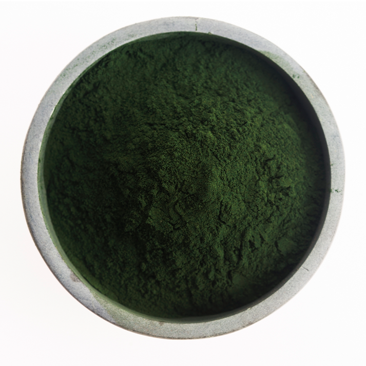 Chlorella Powder (Japanese) | Apothecary Foods