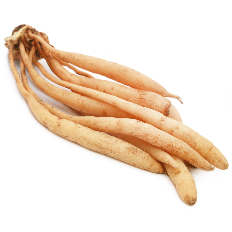 Shatavari Root Powder | Apothecary Foods